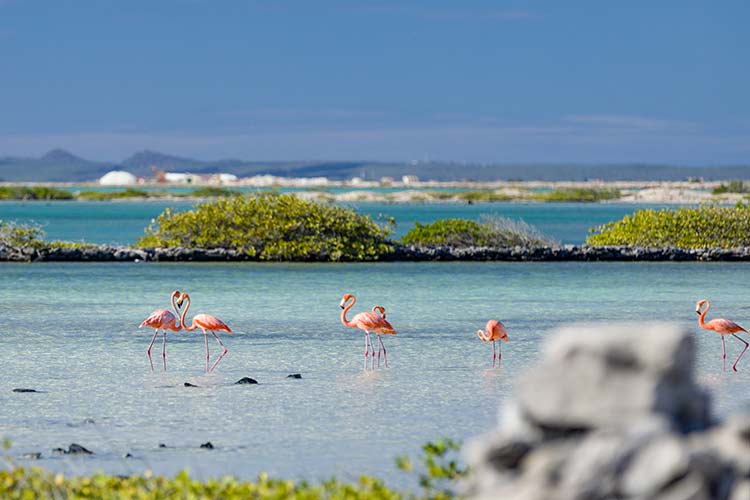 Vakantie in de Caraïben? Dit zijn de mooiste eilanden - dé ...